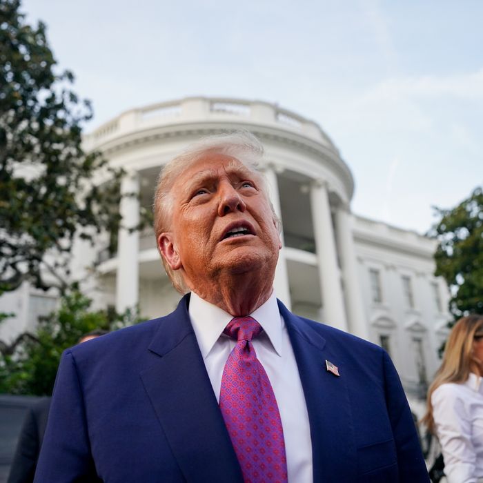 The Lessons of Trump’s First Year Back in Office