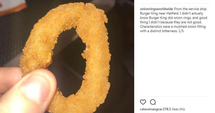 Did Lorde Run an Instagram Devoted to Onion-Ring Reviews?