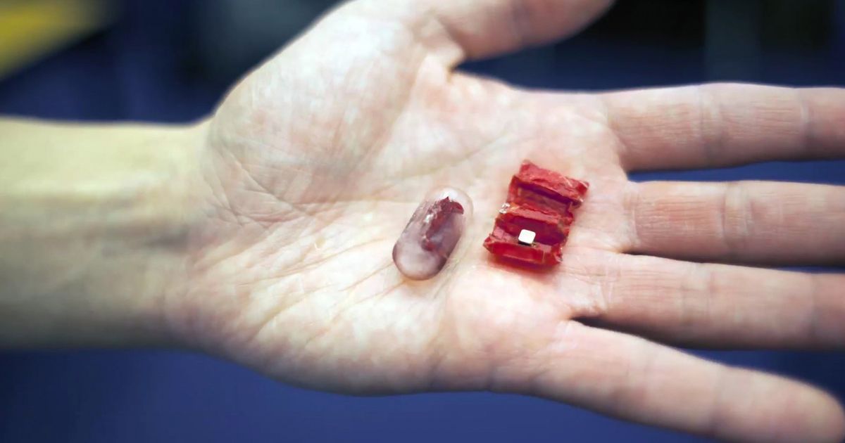 Meat Robot at MIT for Swallowed Batteries