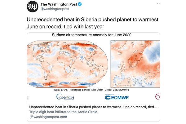 Who Is Gavin, the Meme Kid?