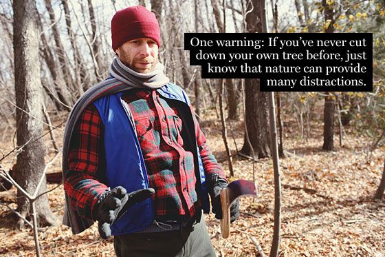 Learn How to Chop Down Your Own Christmas Tree With Delocated’s Jon ...