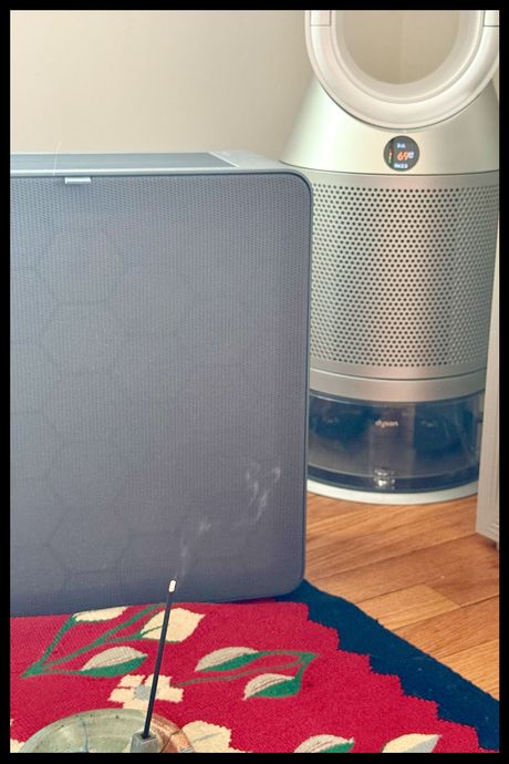 The 9 Best Air Purifiers | The Strategist