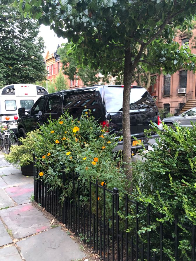 New York City’s Tree Pit Gardens