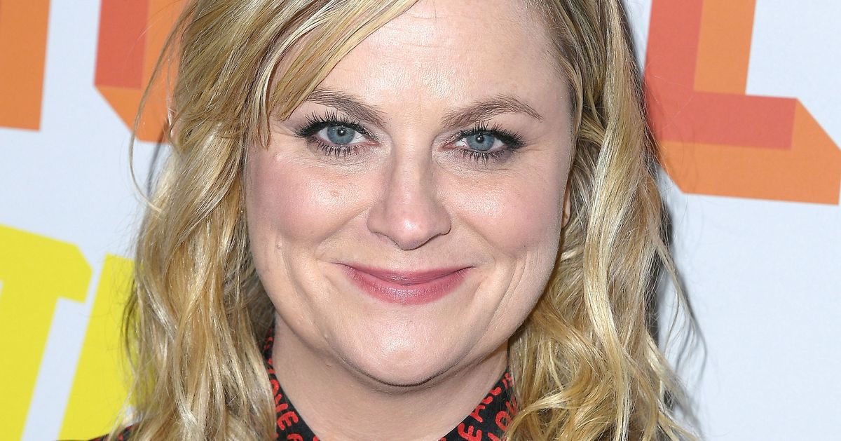 Amy Poehler’s Netflix Movie ‘Wine Country’ to Also […]