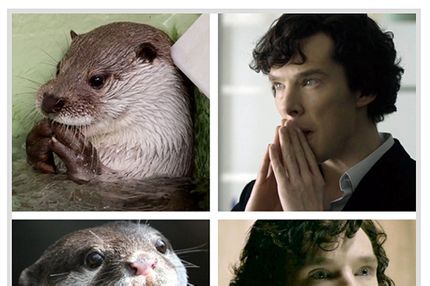 Benedict Cumberbatch Otter Face