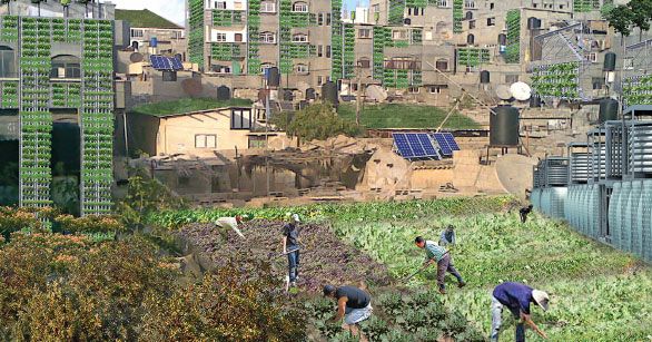 Architects Imagine Gaza Without Borders or War