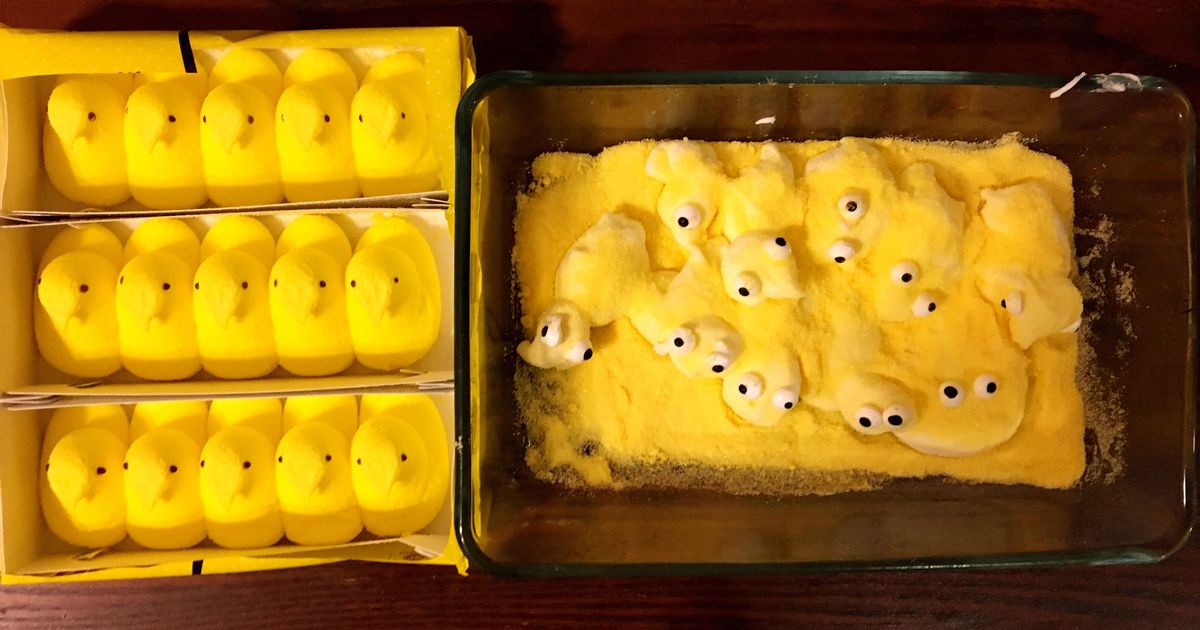 How to Make Your Own Peeps