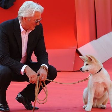 A Brief History of Animals Walking the Red Carpet - Slideshow - Vulture