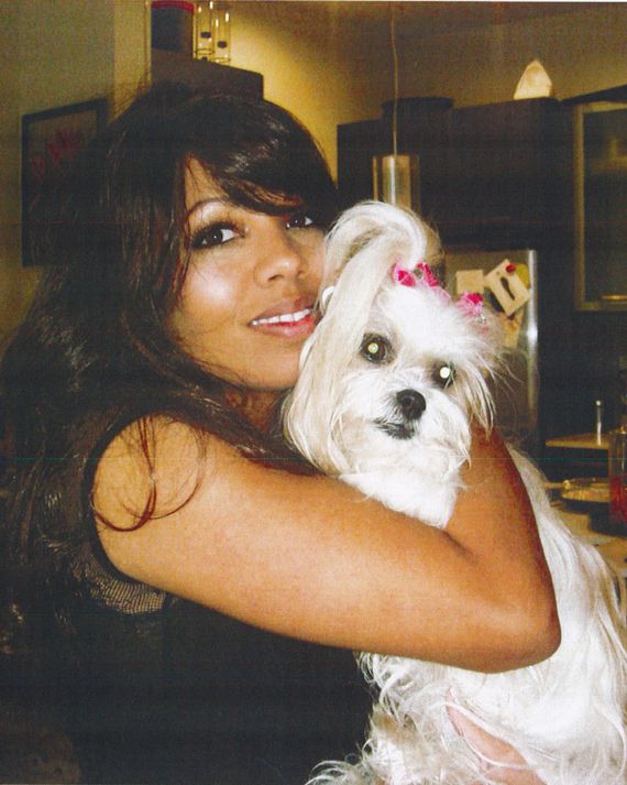 How Michael Goguen Got Conned