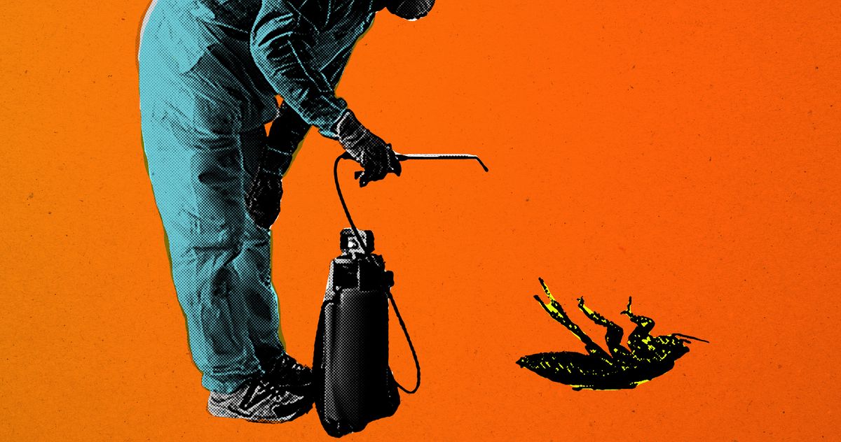 The Best Exterminators and Pest Control Services in NYC 2024