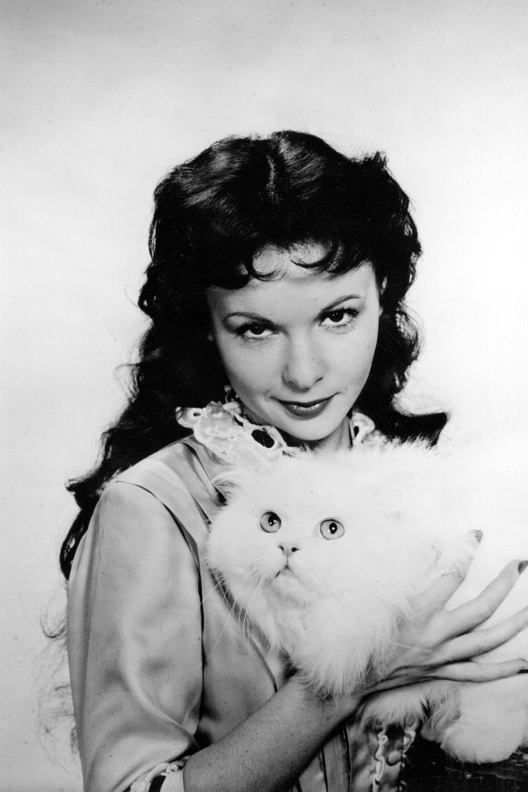 The 50 Most Fabulous (and Famous) Cat Ladies of All Time