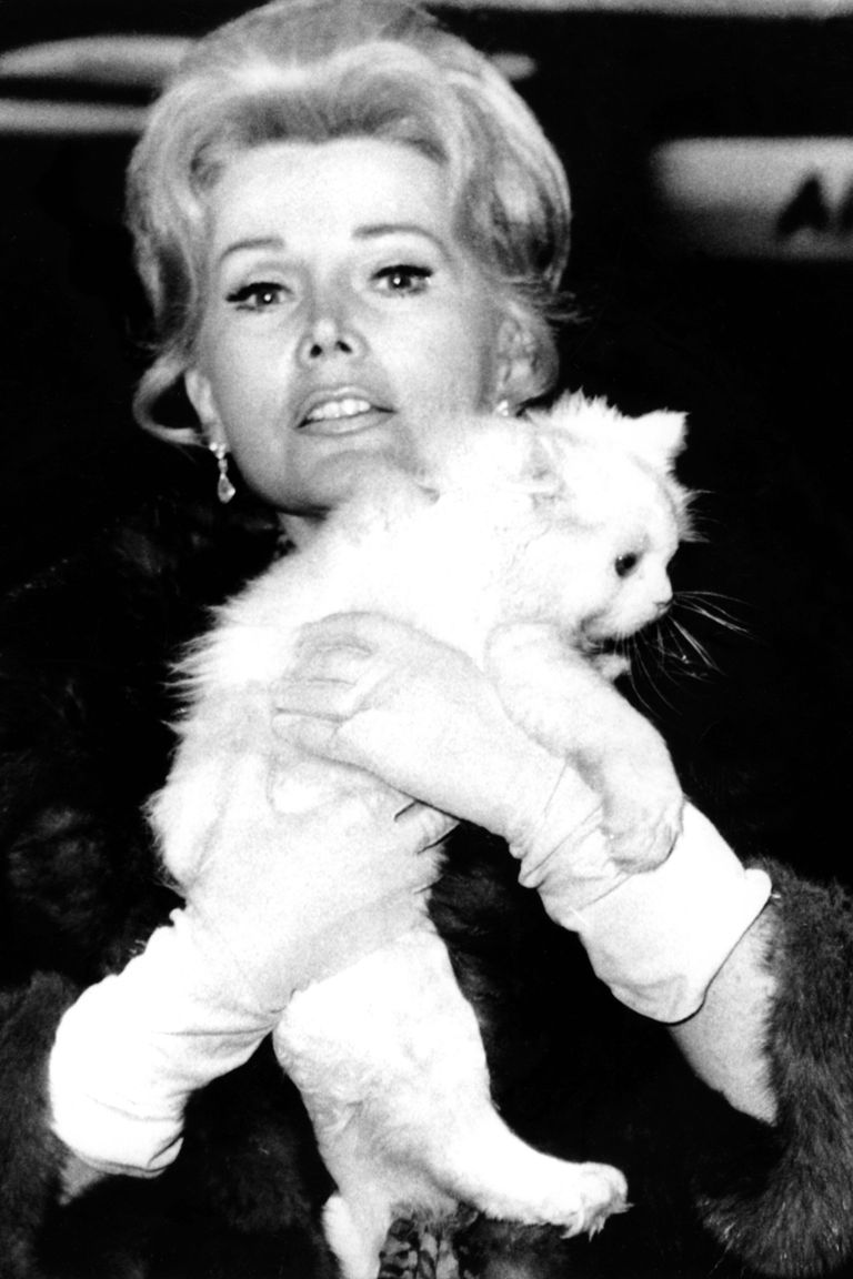 The 50 Most Fabulous (and Famous) Cat Ladies of All Time