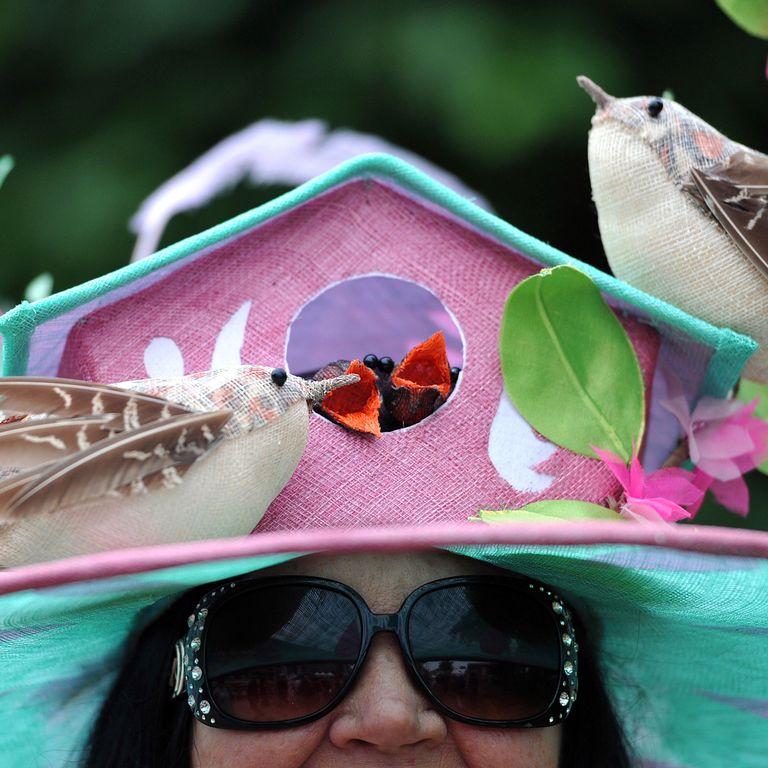 The Craziest Hats & Fascinators From Royal Ascot