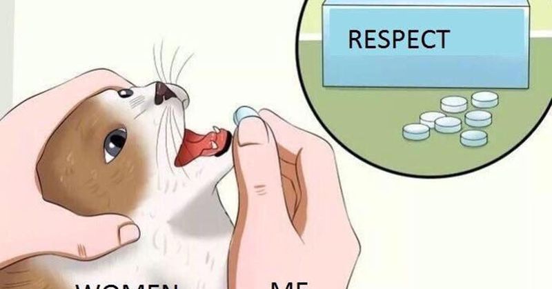 Respecting Women Memes, Explained