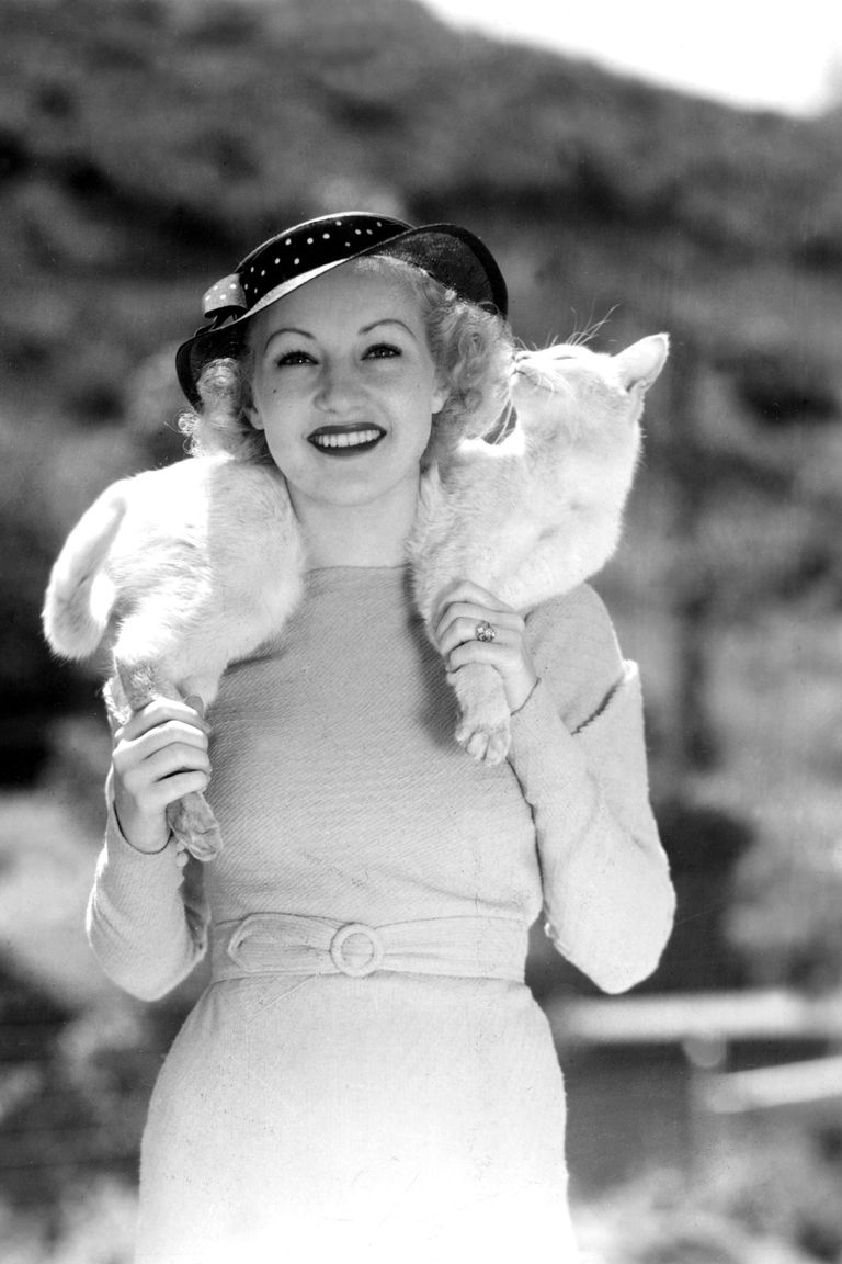 The 50 Most Fabulous (and Famous) Cat Ladies of All Time