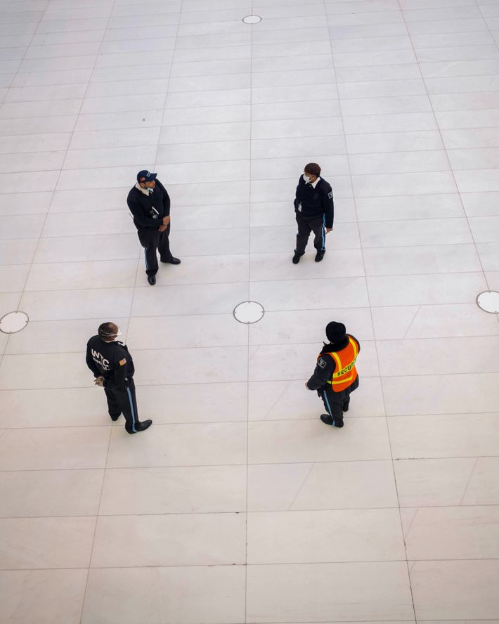 Scenes From Your Pandemic