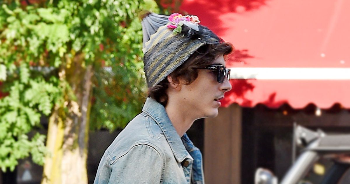 Timothée Chalamet Strolls Through NYC in Floral Bonnet: Pics