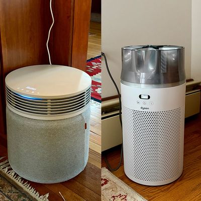 The Best Air Purifiers for Allergies | The Strategist