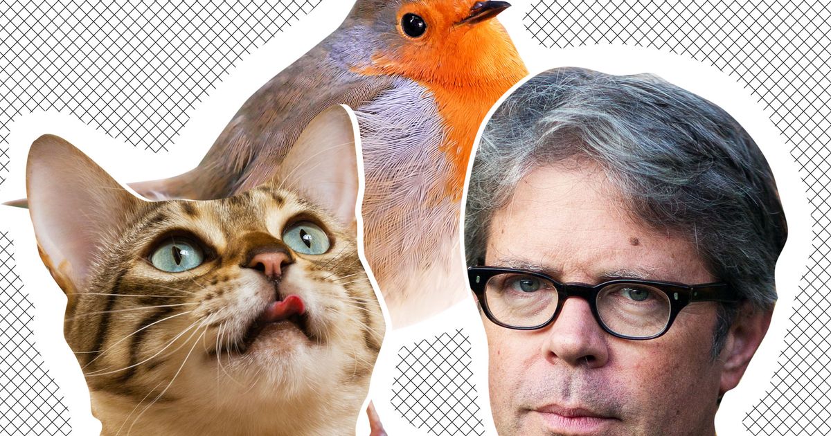Jonathan Franzen Says He’s Met Cats He Likes