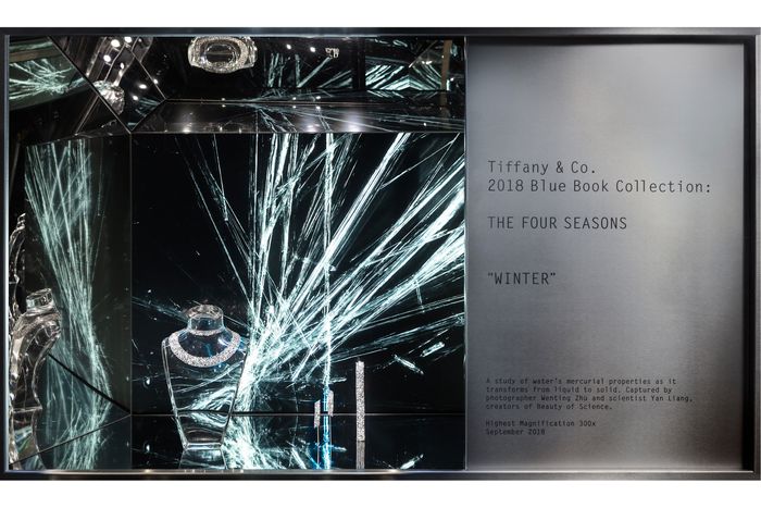 Check Out These New Nature-Inspired Tiffany’s Windows