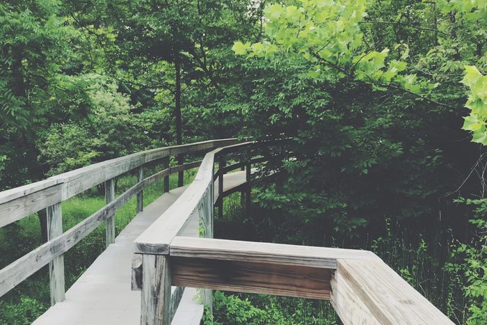 Kansas City MO Travel Guide: Things to Do, Where to Stay