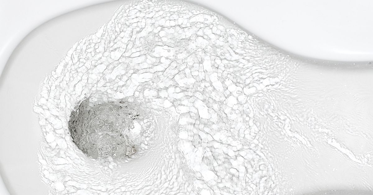 The Everything Guide to Poop