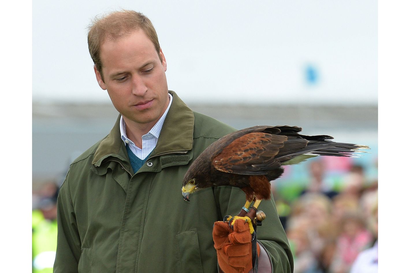 Prince William Handles Birds of Prey, Fatherhood
