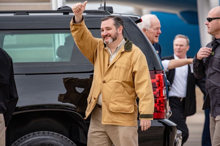 Ted Cruz Beard Makes Appearance at Texas Event With Trump