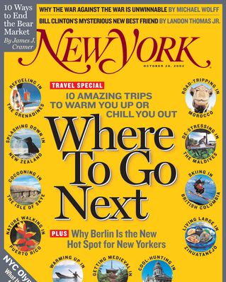 New York Magazine: October 28, 2002 Issue