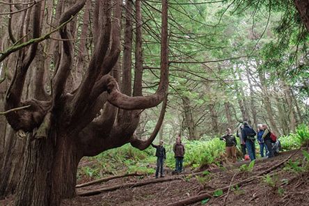 Savor the New Coastal Charm of Mendocino County