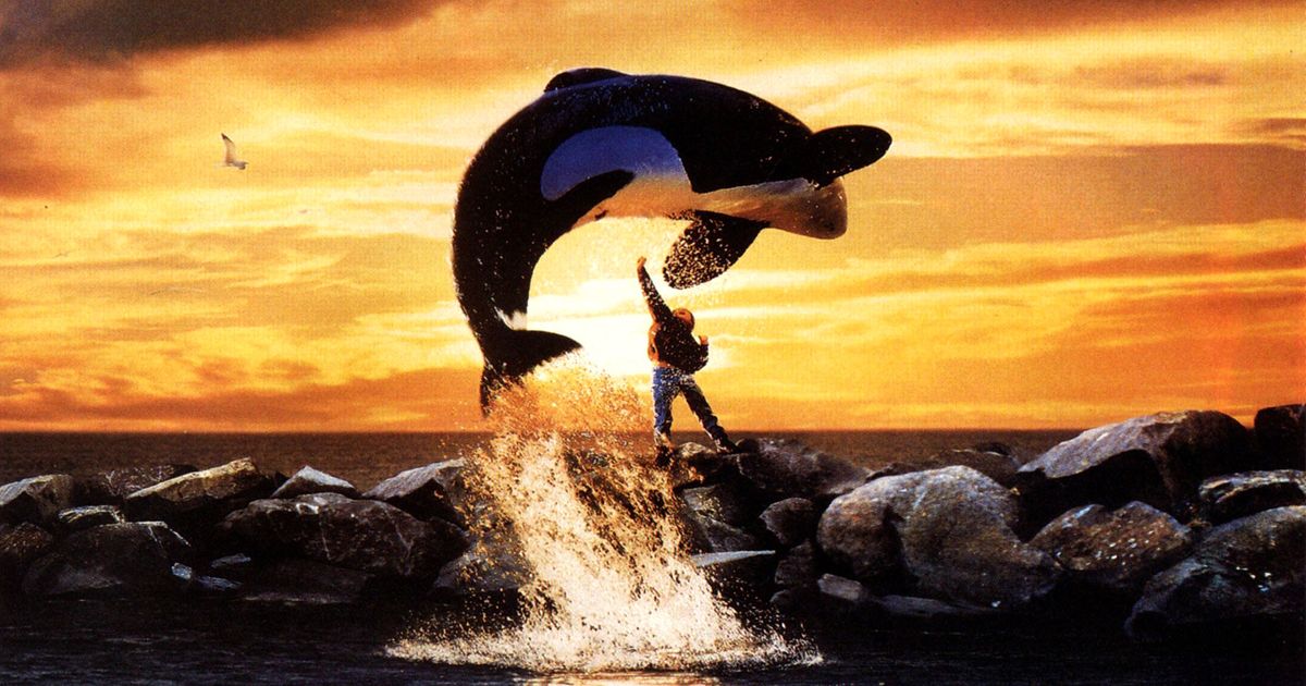 How Do … The Best? … Killer Whale Movies Compare?