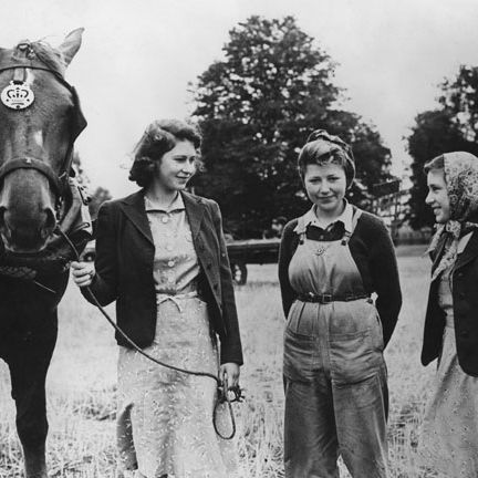 See Queen Elizabeth With Corgis, a Panda, Elephants, and Other Animals