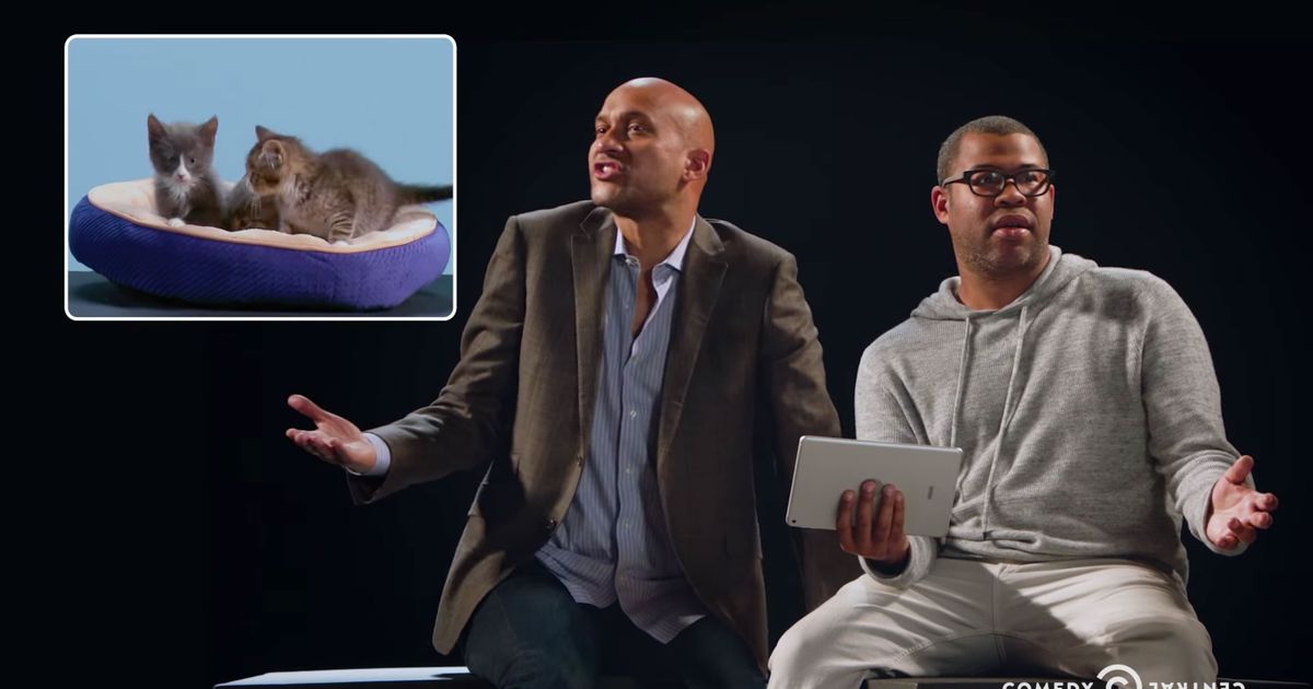 Key & Peele Audition a Bunch of Diva Kittens to Play Keanu
