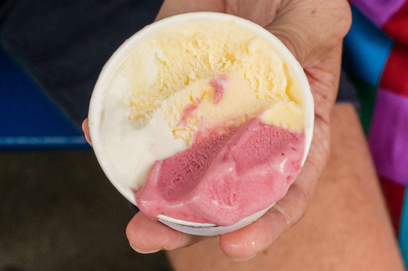 A Guide to New York Ice-Cream Styles