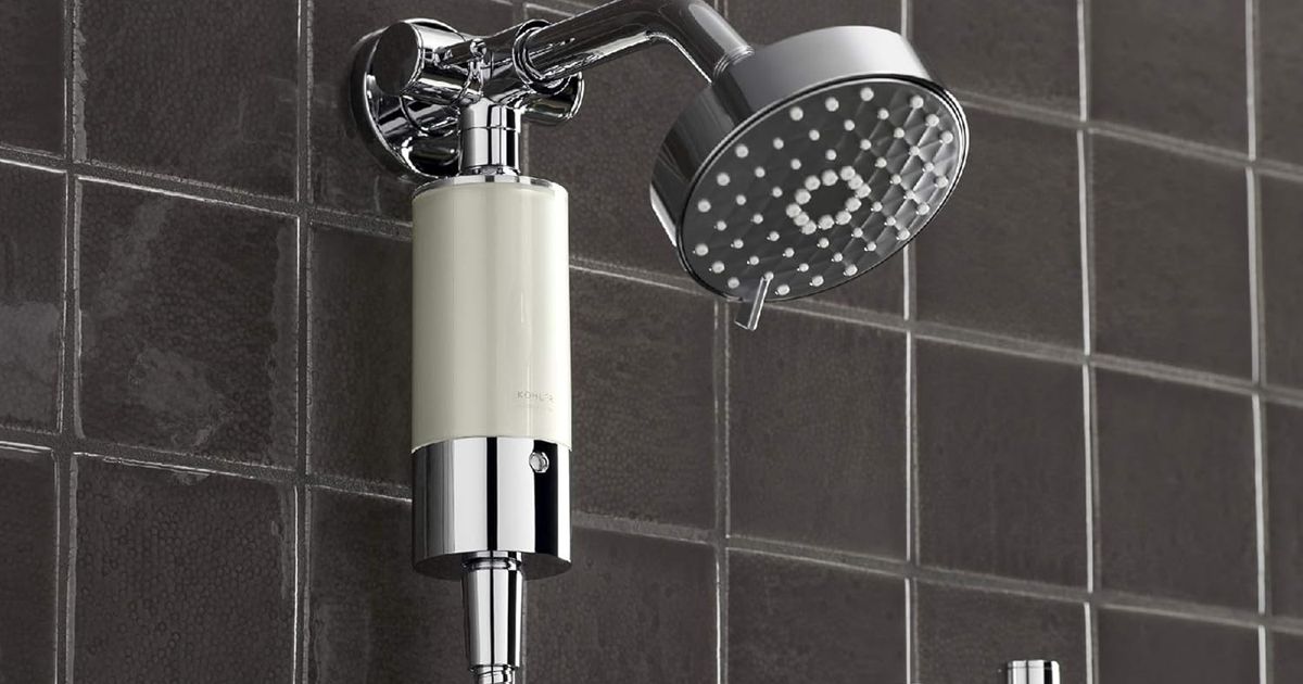 10 Best Shower Water Filters | The Strategist