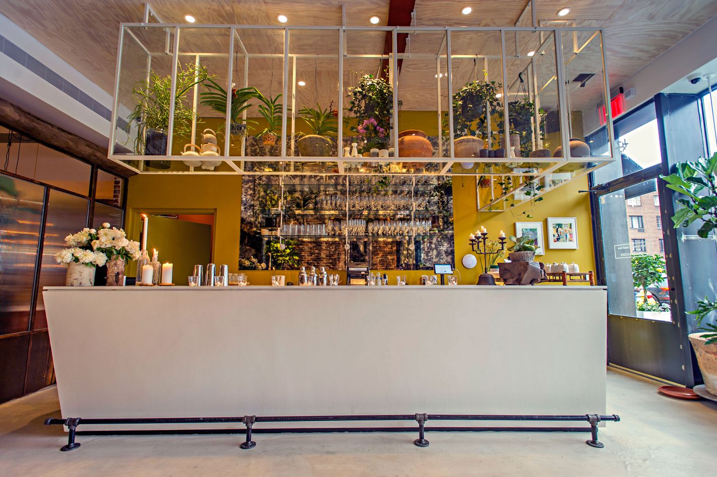 Hao Noodle and Tea Is the American Debut of a Veteran Chinese Restaurateur