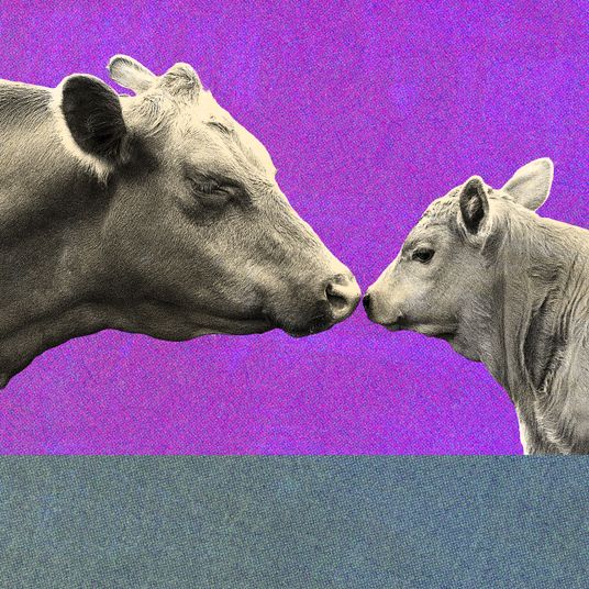 Artist Rachel Wark Is Exploring Our Bond With the Divine