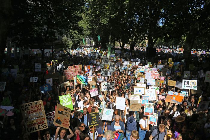 Climate Strike 2019: The Best Protest Signs