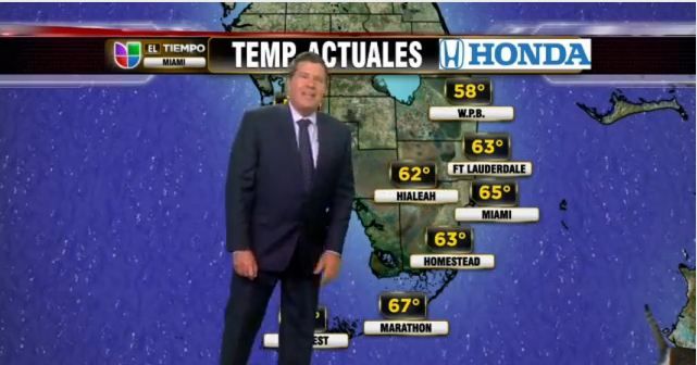 Can You Spot the Cat in This Weather Report?