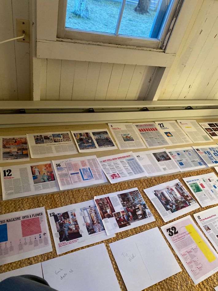 On the Cover: A Handbook for Surviving Quarantine -- New York Media ...