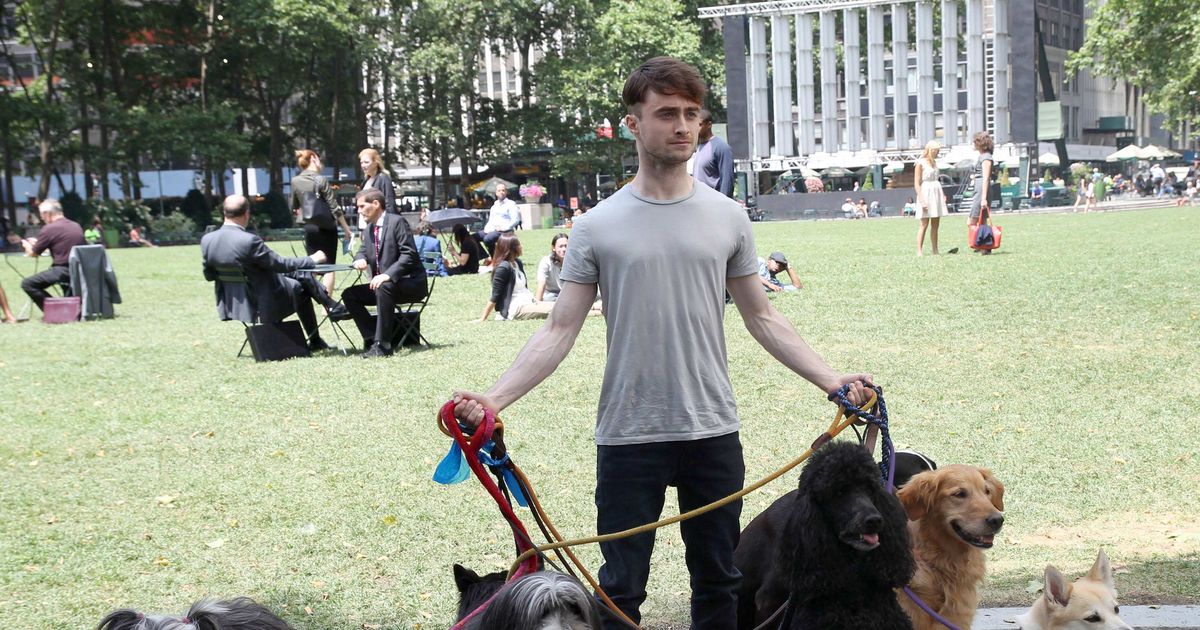 This Photo of Daniel Radcliffe With Like 1,000 Dogs Is Magical