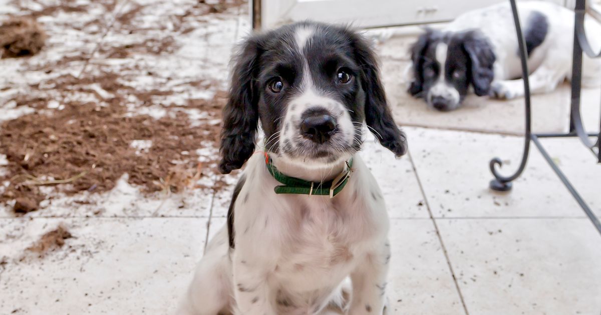 How to Accept an Apology: Experts Reveal