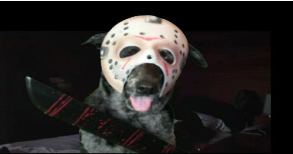 Beware Slasher Dog!