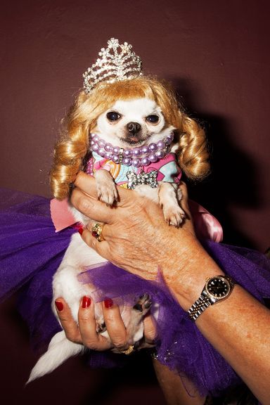 This Dog Beauty Pageant Was the Best Fashion Weekend Show
