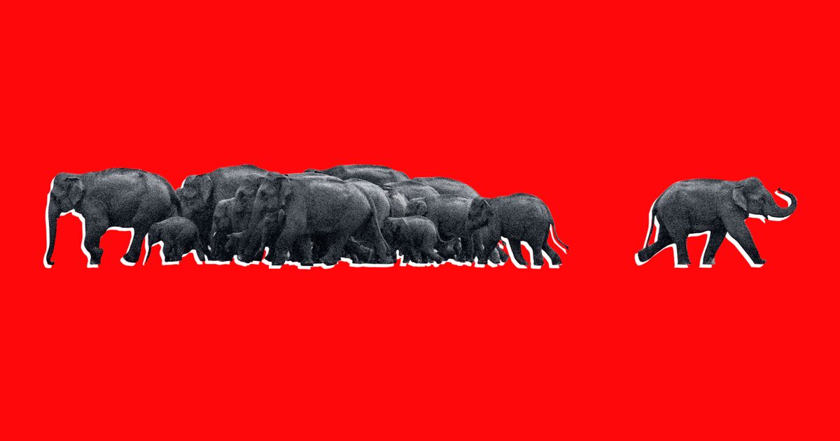 5 Kinds of Republicans Defecting From the Party of Trump