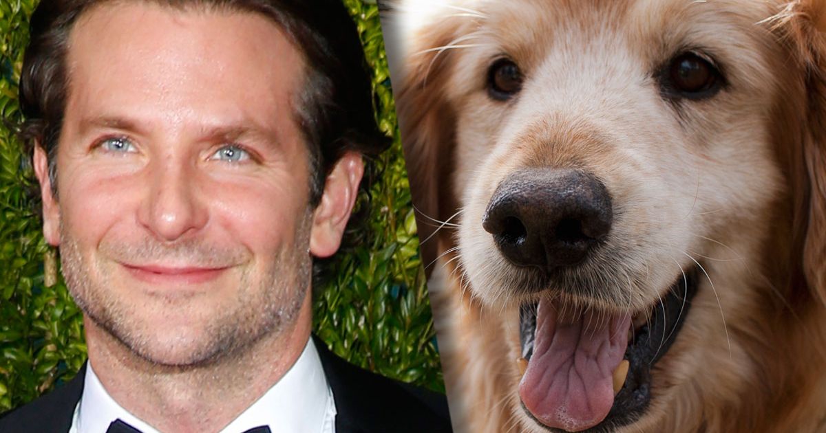 Bradley Cooper to Voice a Dog Because He’s a Good Boy, He’s a Good Boy ...