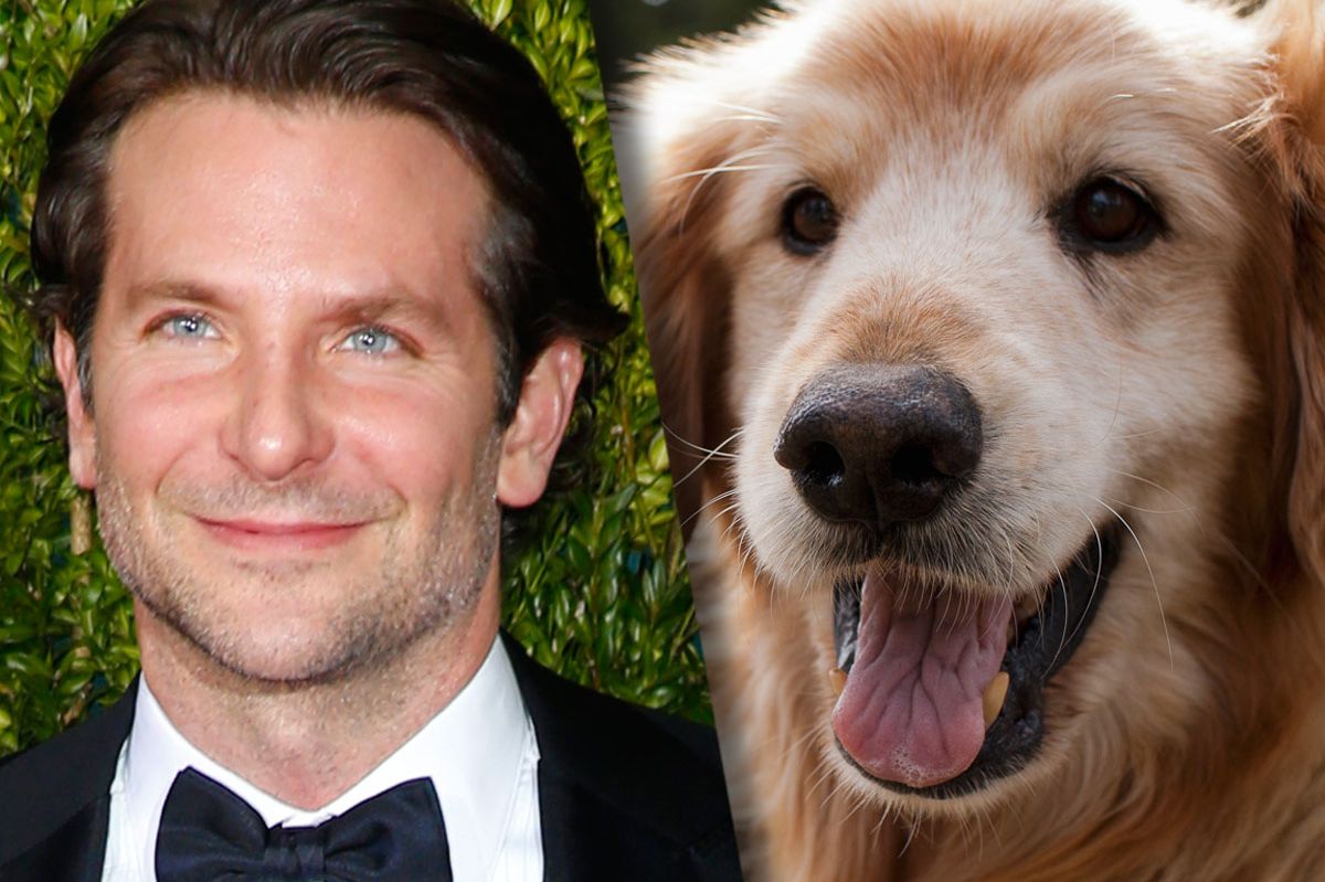 Cooper Golden's Instagram, Twitter & Facebook on IDCrawl