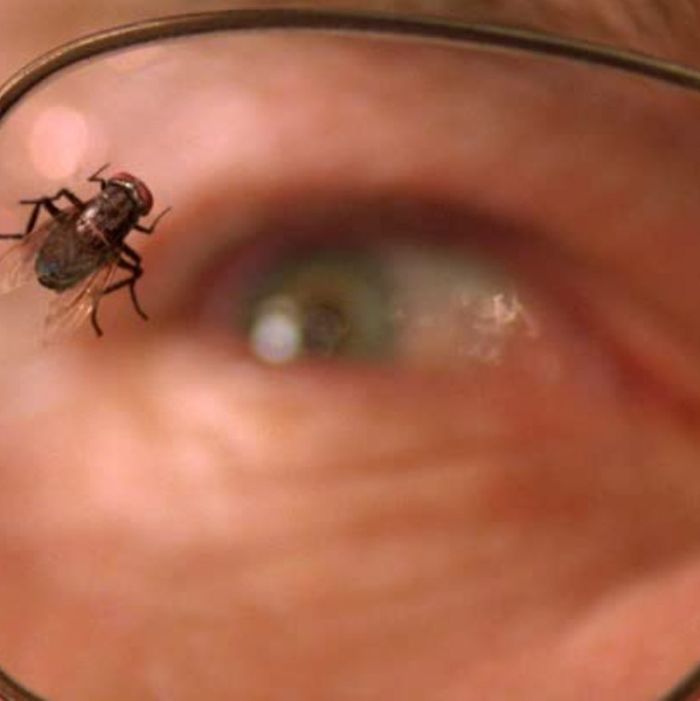 ‘Breaking Bad’ Season 3, Episode 10 Recap: Fly