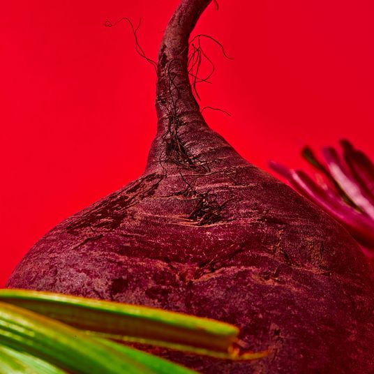 London’s Zuma to Open in Midtown