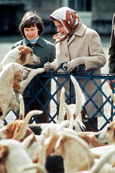 See Queen Elizabeth With Corgis, a Panda, Elephants, and Other Animals